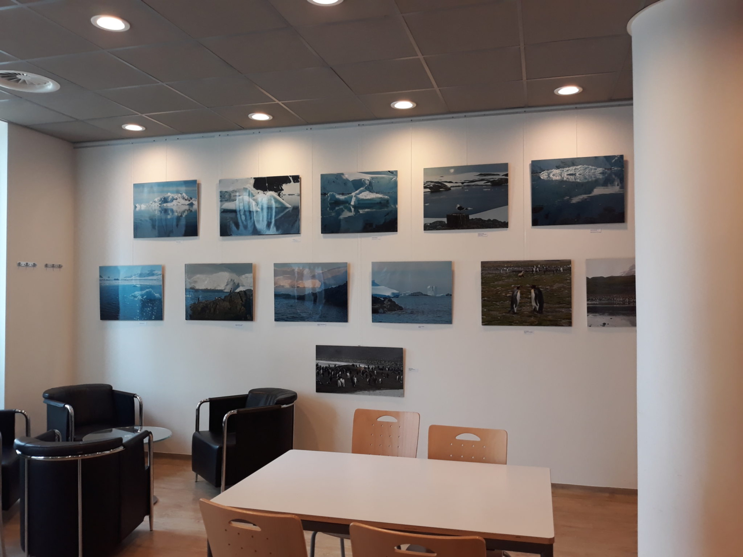 Picturing Antarctica – exhibition at ORBN building Brussels ...