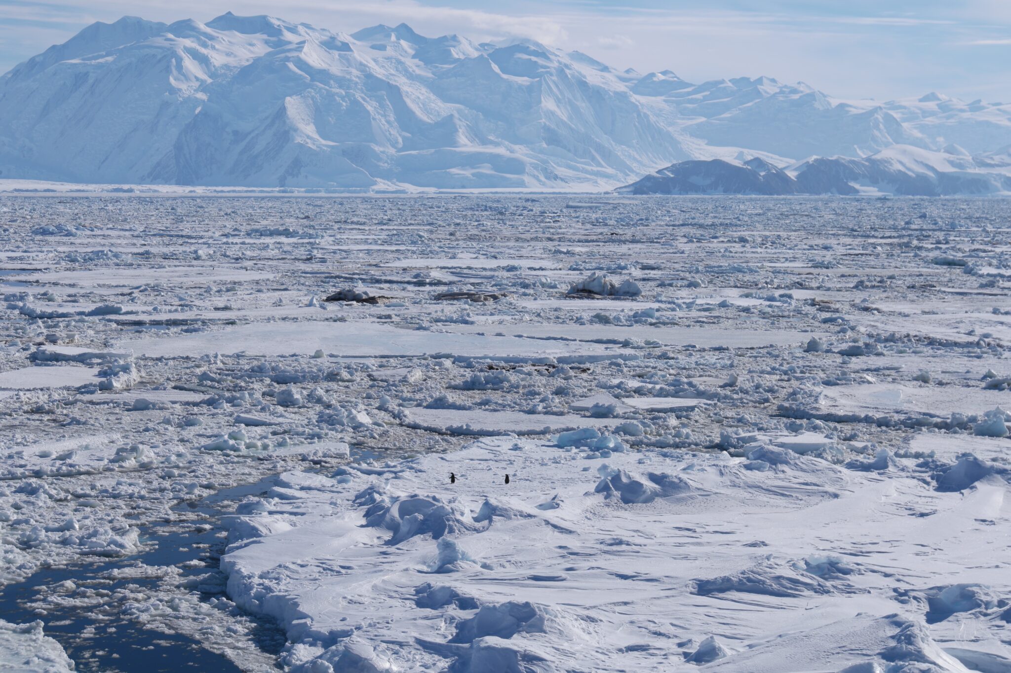 1 100 km en Antarctique pour mieux comprendre l’évolution de la calotte ...